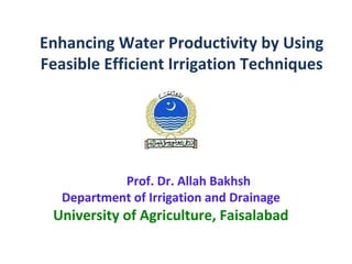 Enhancing Water Productivity by Using Feasible Efficient Irrigation ...