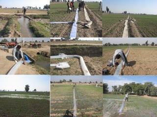 Enhancing Water Productivity by Using Feasible Efficient Irrigation ...