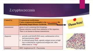dr amal abo kamar.pptx