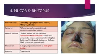 dr amal abo kamar.pptx