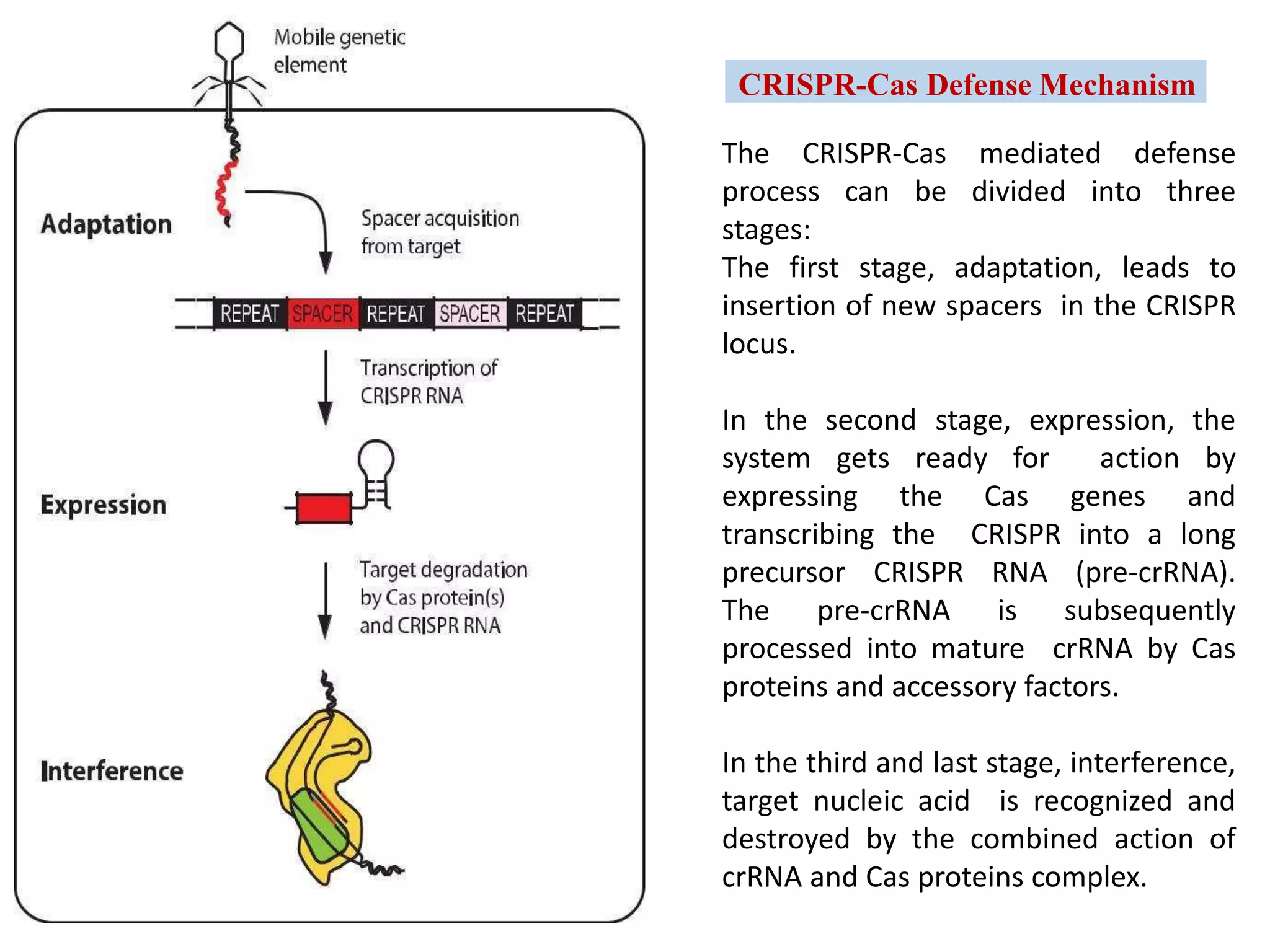 Dr amar Sharma | PPT