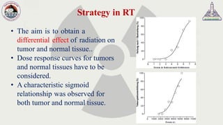 Radiobiological aspects of radiotherapy precision | PDF
