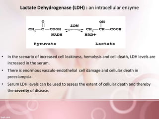 Serum lactate dehydrogenase : a biochemical marker in pre-eclampsia and ...