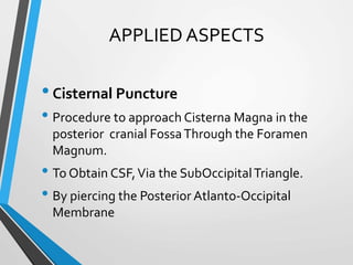 Dr Anand_Anatomy 21-8-20.pptx