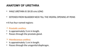 Retrograde uretherogram and Micturating cysto-uretherogram | PPTX