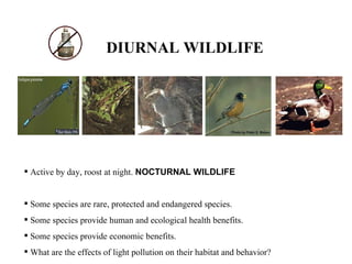 Draper presentation on dark sky | PPT