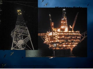 Draper presentation on dark sky | PPT