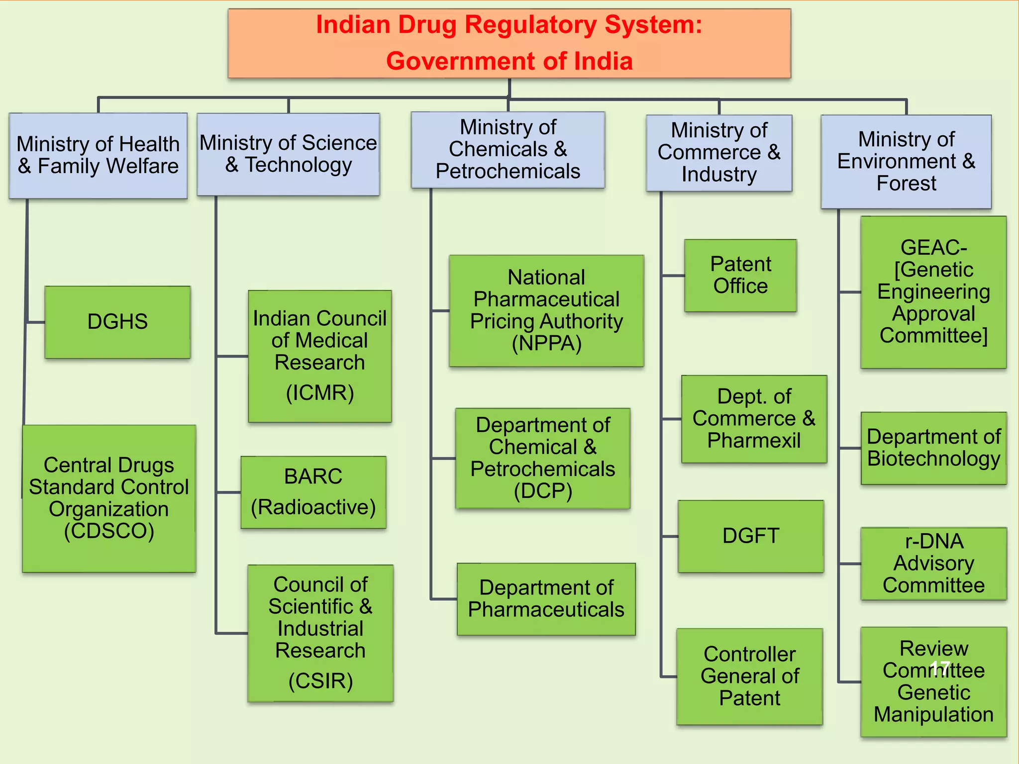 Drug Regulatory Affairs (DRA) | PPTX