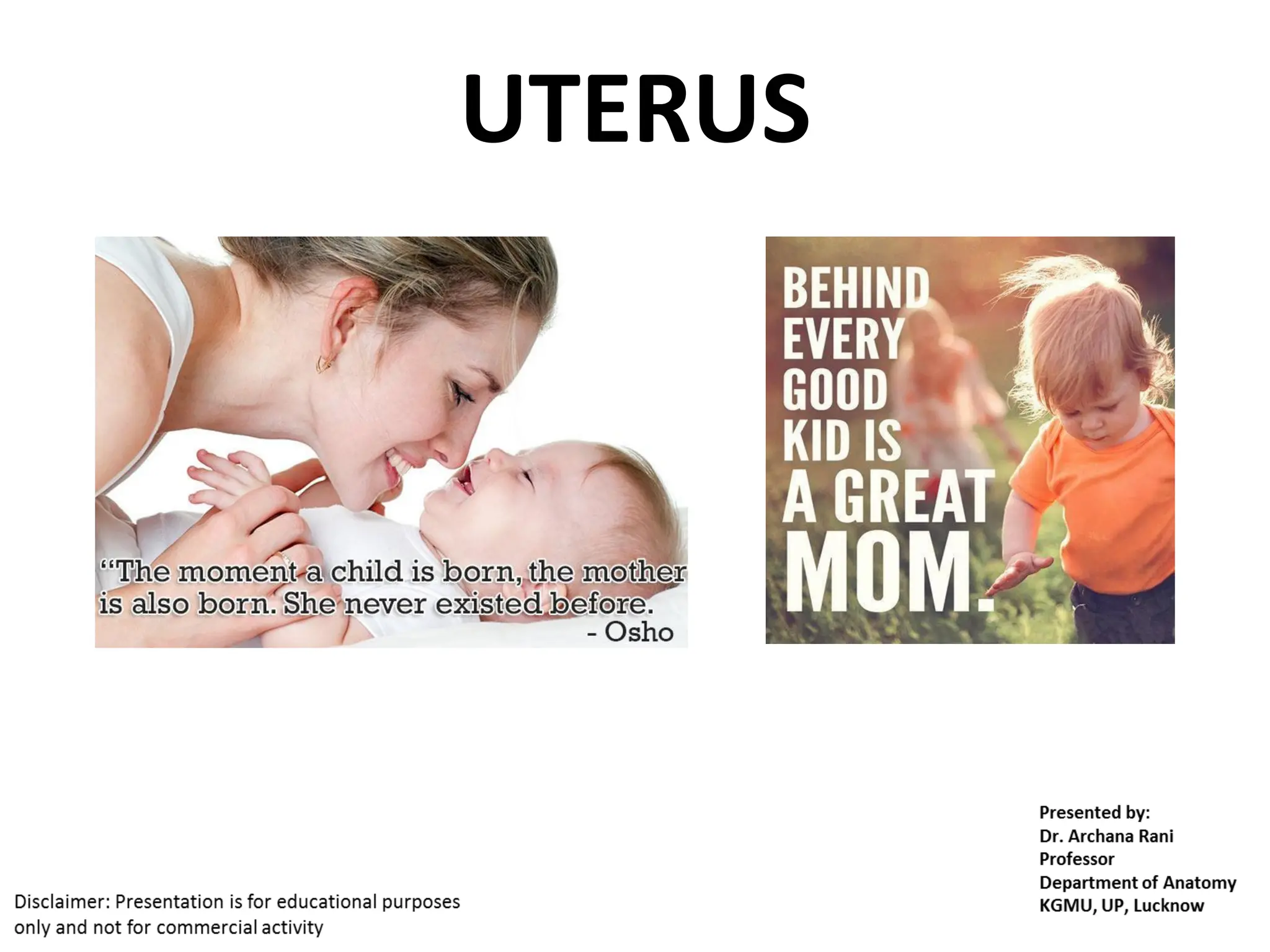 Uterus anatomy female reproductive organs | PDF