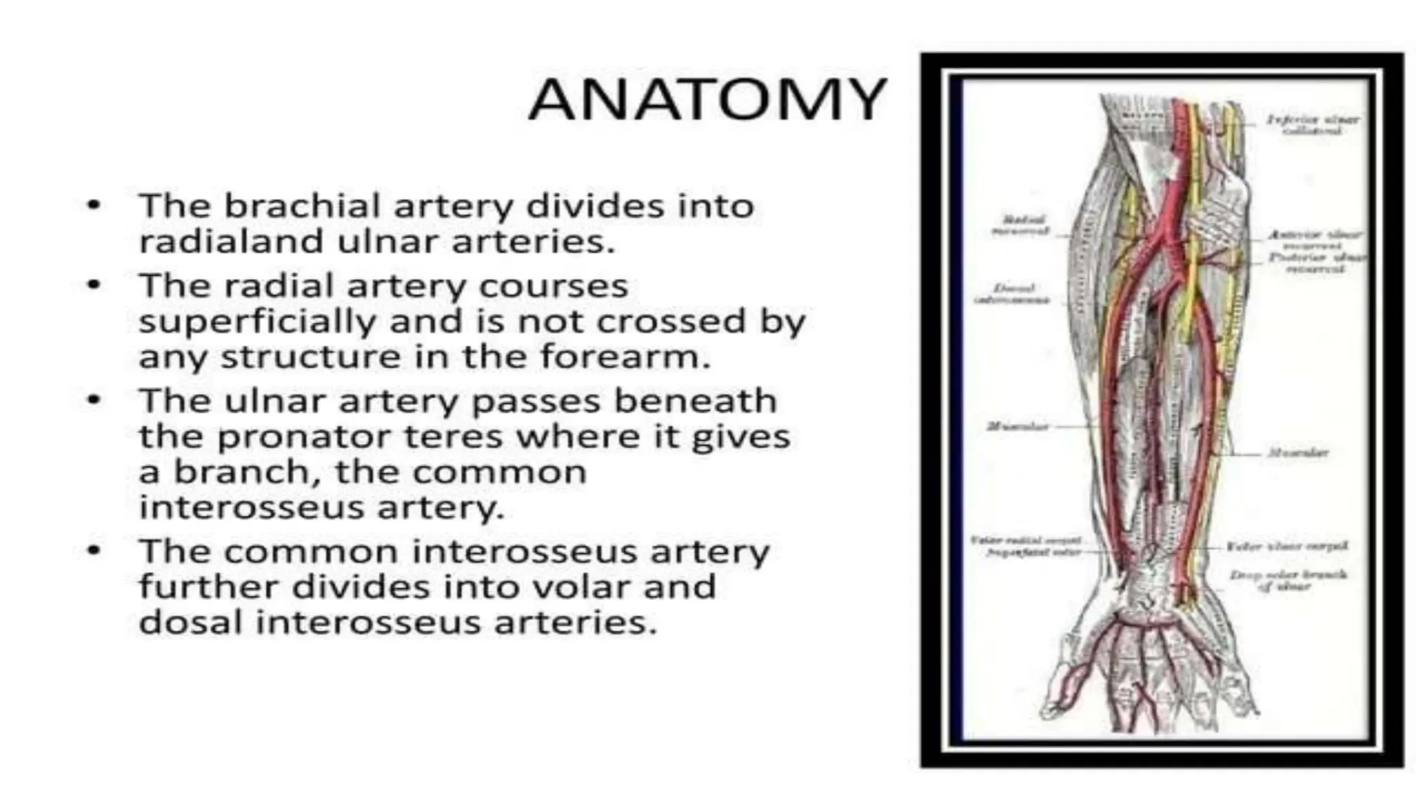 volkmann ischemic contracture orthopaedics.pptx