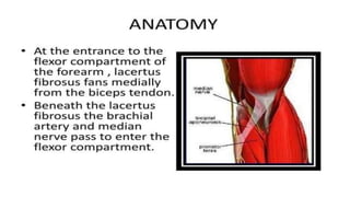 volkmann ischemic contracture orthopaedics.pptx