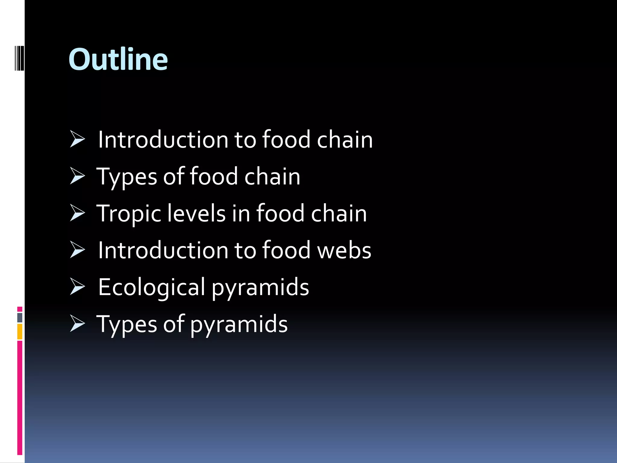 FOOD CHAIN & FOOD WEB | PPTX