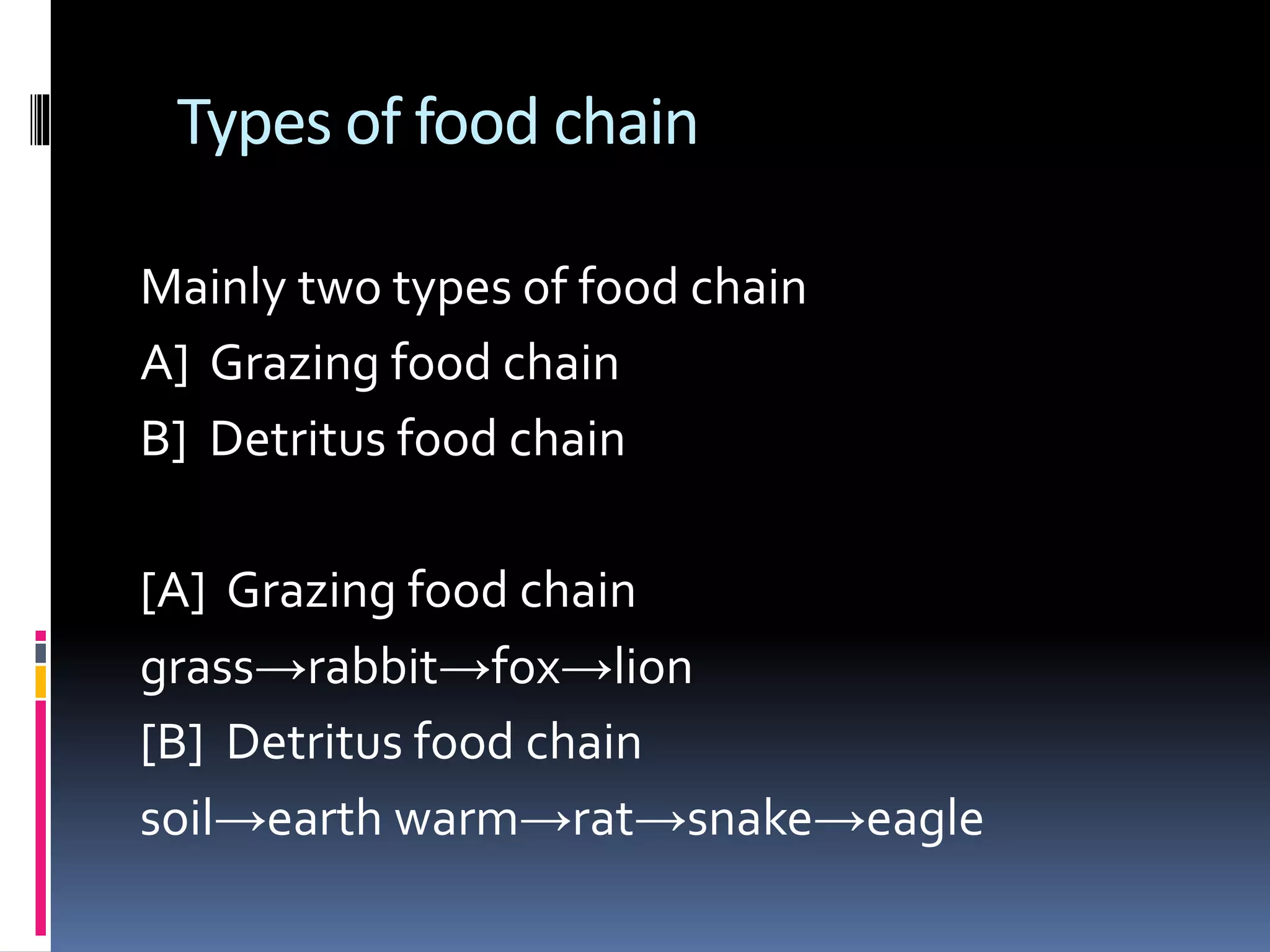 FOOD CHAIN & FOOD WEB | PPTX