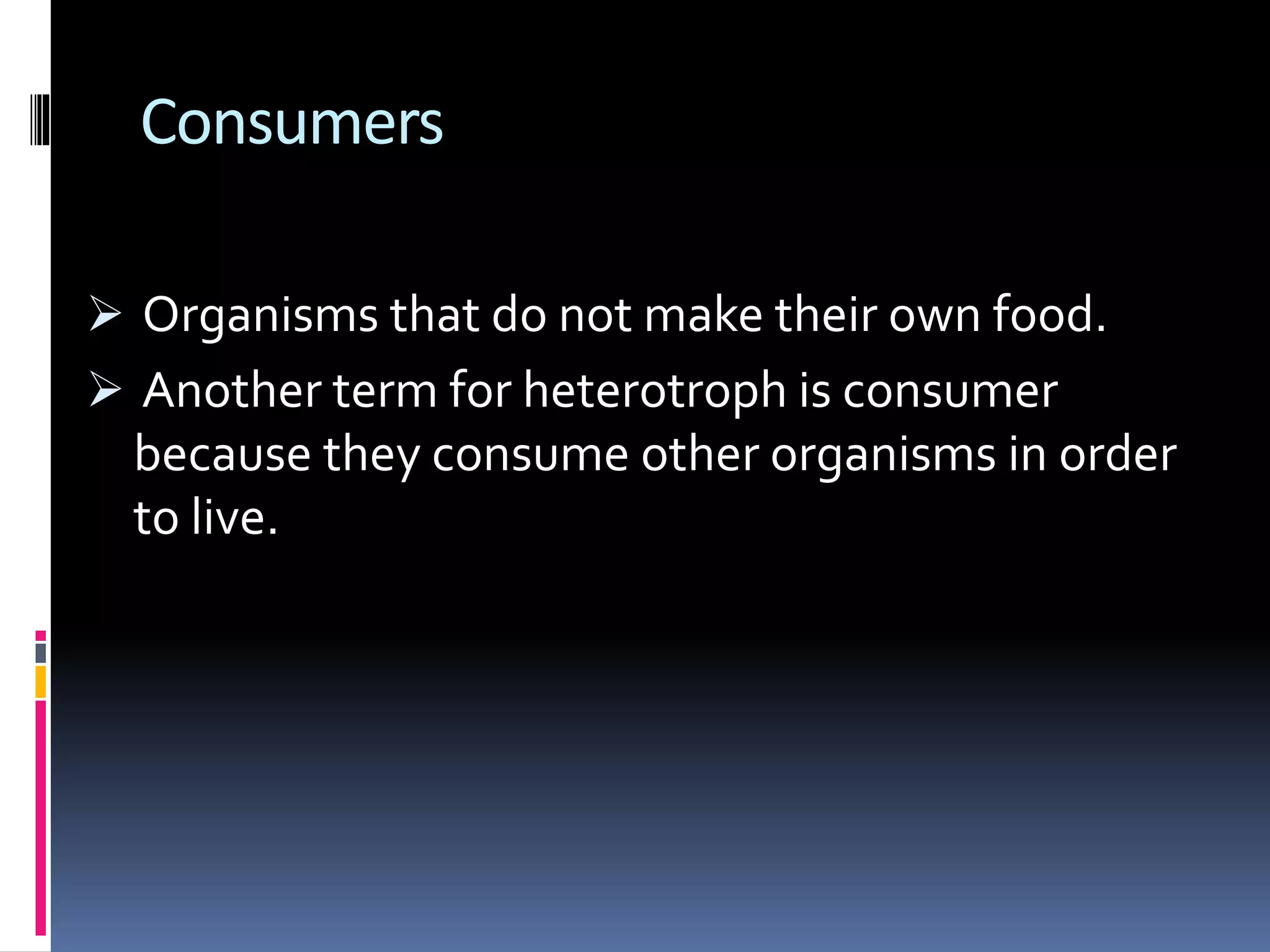 FOOD CHAIN & FOOD WEB | PPTX
