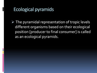 FOOD CHAIN & FOOD WEB | PPTX