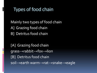 FOOD CHAIN & FOOD WEB | PPTX