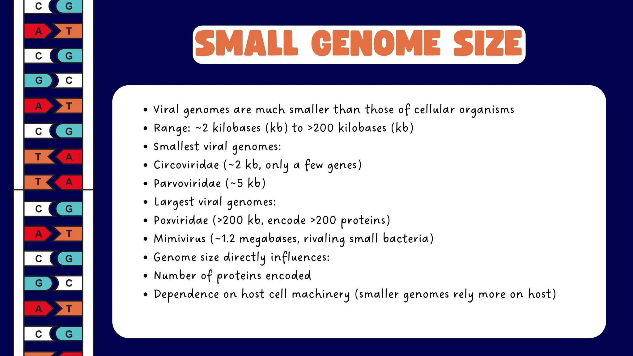 Ppt of salient features of viral nucleic acid | PDF