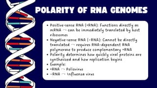 Ppt of salient features of viral nucleic acid | PDF