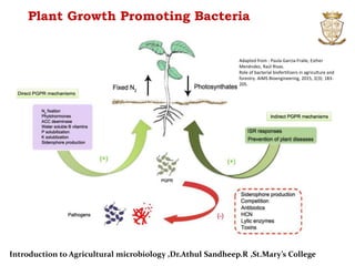 Microbiology:An Introduction to Agricultural Microbiology | PPTX