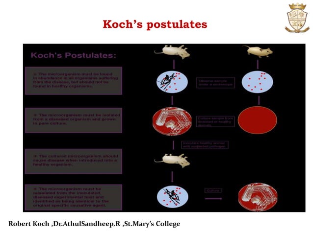 MicrobiologyAn Introduction to Robert Koch | PPTX