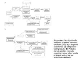 steroid resistant nephrotic syndrome | PDF