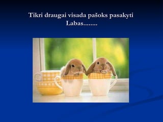 Draugai | PPS