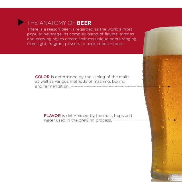Draught beer basics