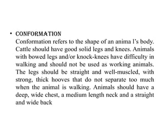 Principal of selection of Draught Cattle from PSTU.pptx