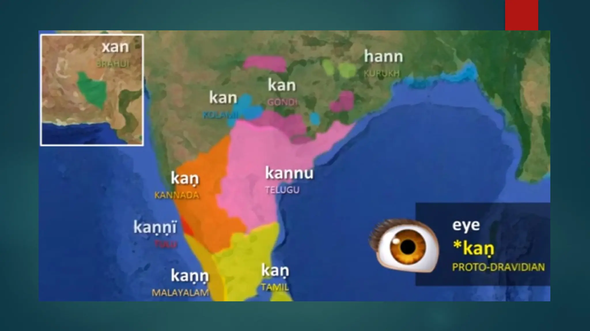 The Dravidian Languages: Tamil, Telugu, Kannada, Malayalam, Brahui ...