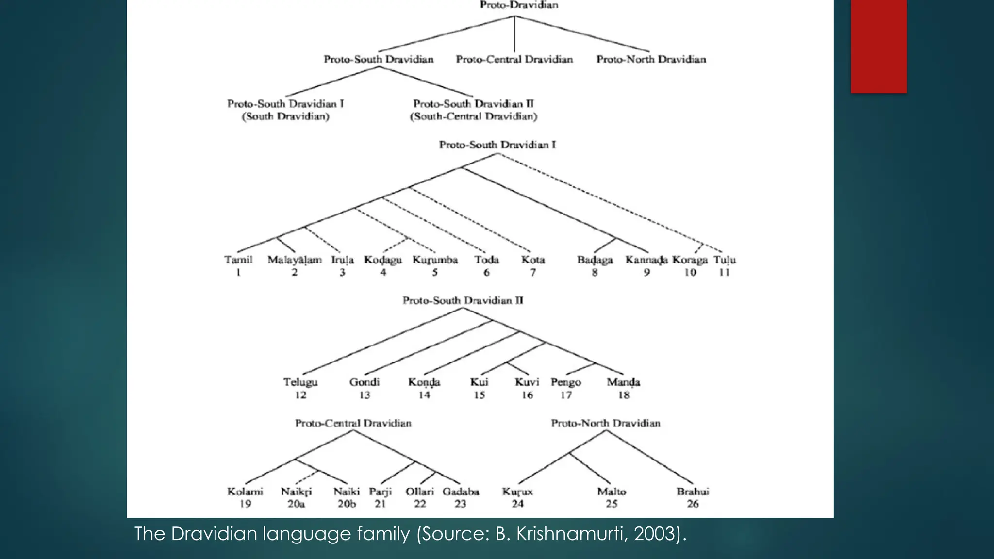 The Dravidian Languages: Tamil, Telugu, Kannada, Malayalam, Brahui, Kuvi, Tulu | PPTX