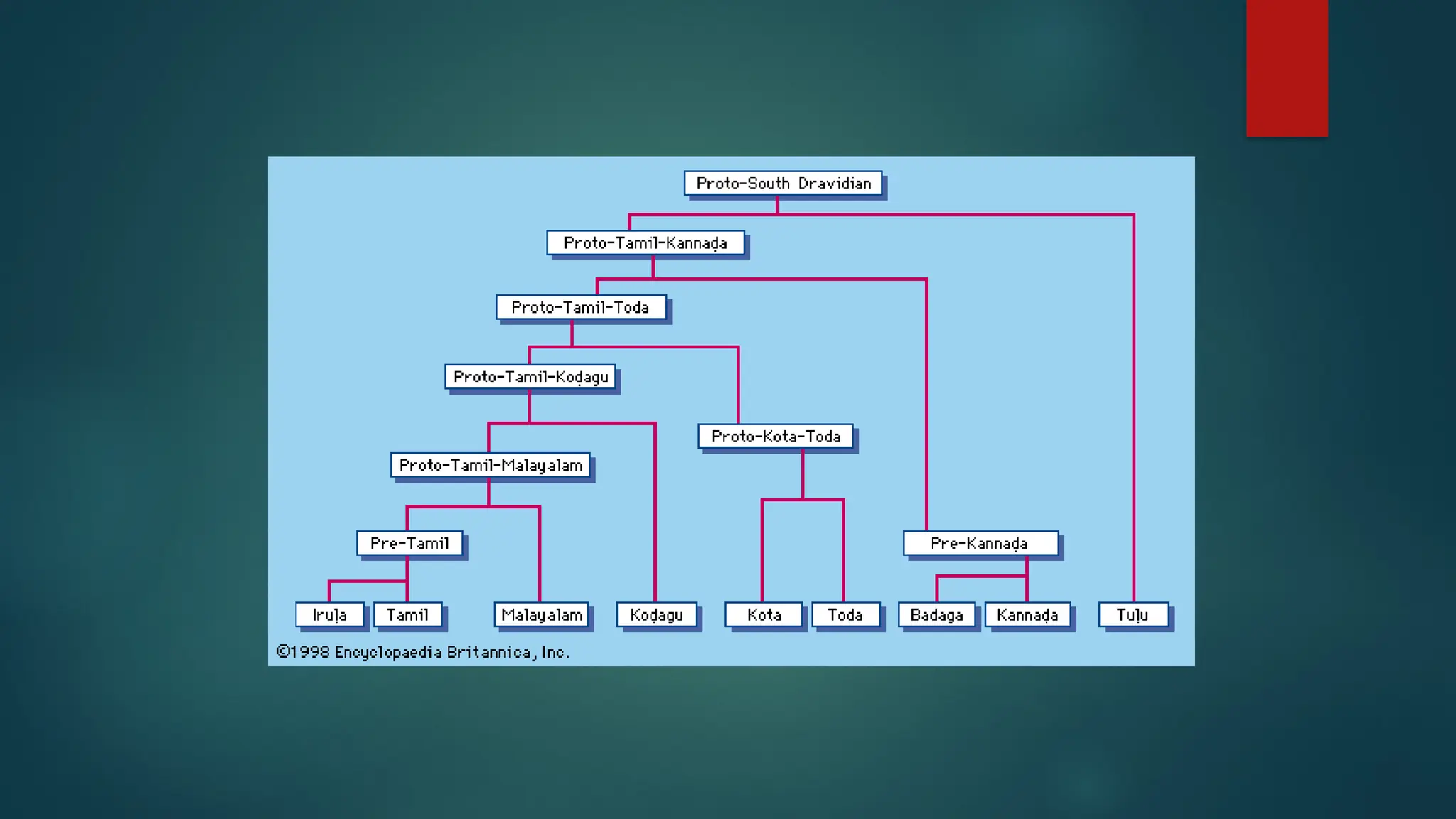 The Dravidian Languages: Tamil, Telugu, Kannada, Malayalam, Brahui ...