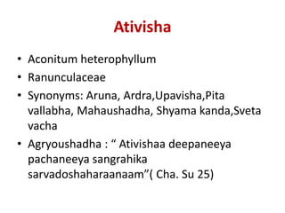 Dravya - Detailed dravyas for BAMS | PPT