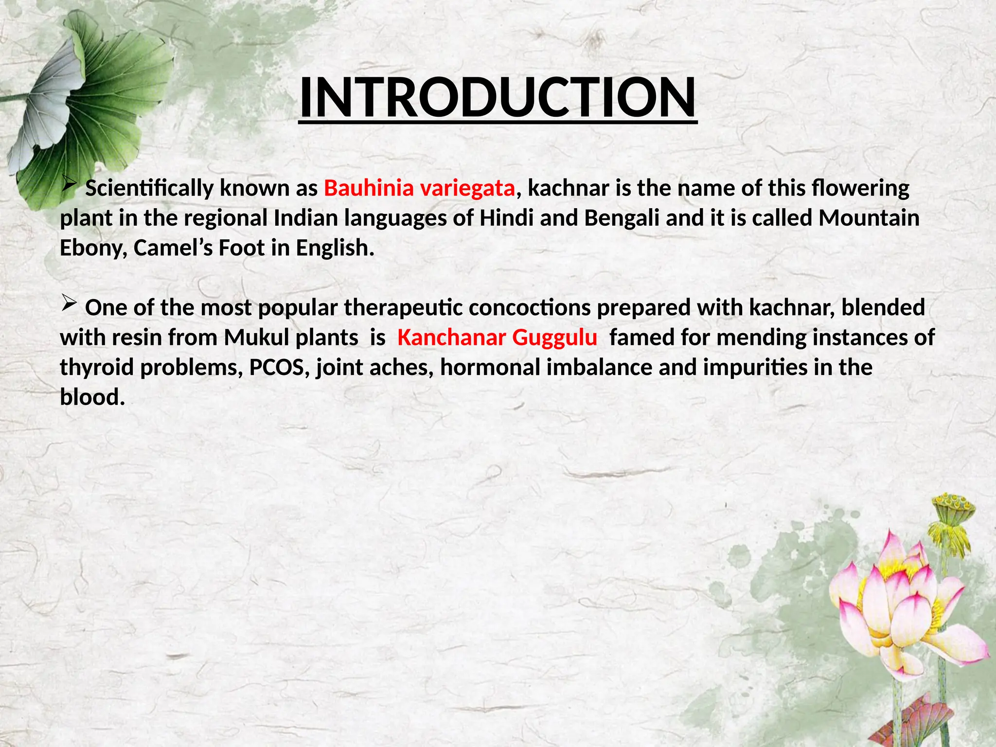 Kanchnara(Bauhinia variegata) Dr. Deepak Anand.pptx