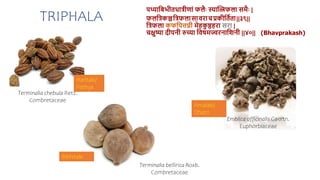 Dravyaguna Lecture Series- Mishrak gana.pptx