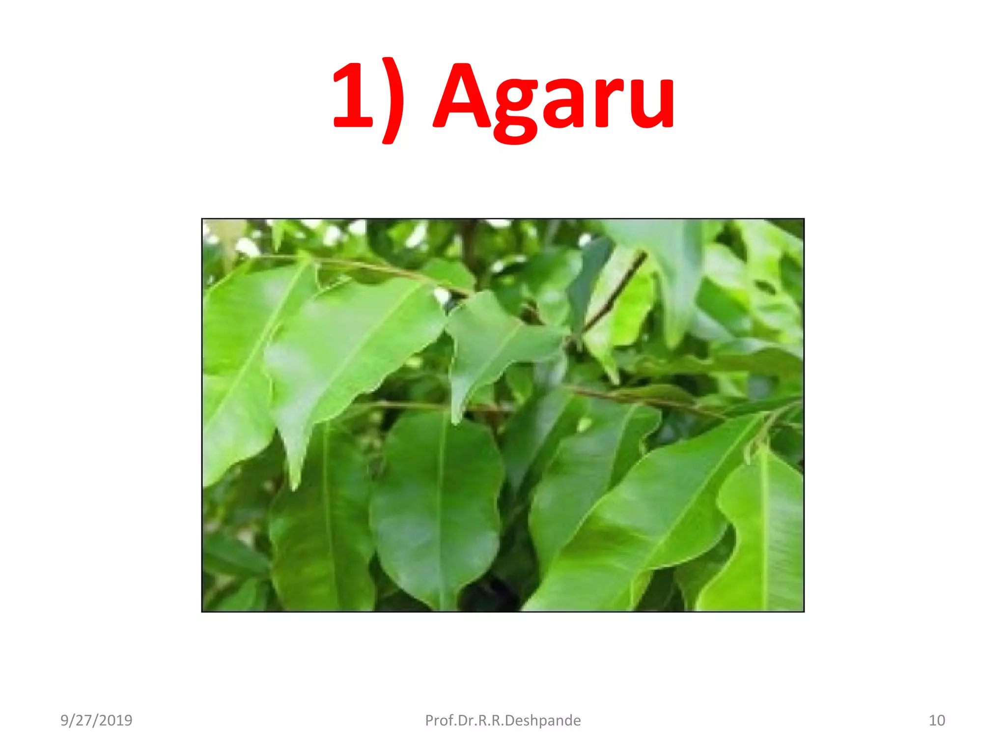 Dravyaguna vignyan ppt | PDF