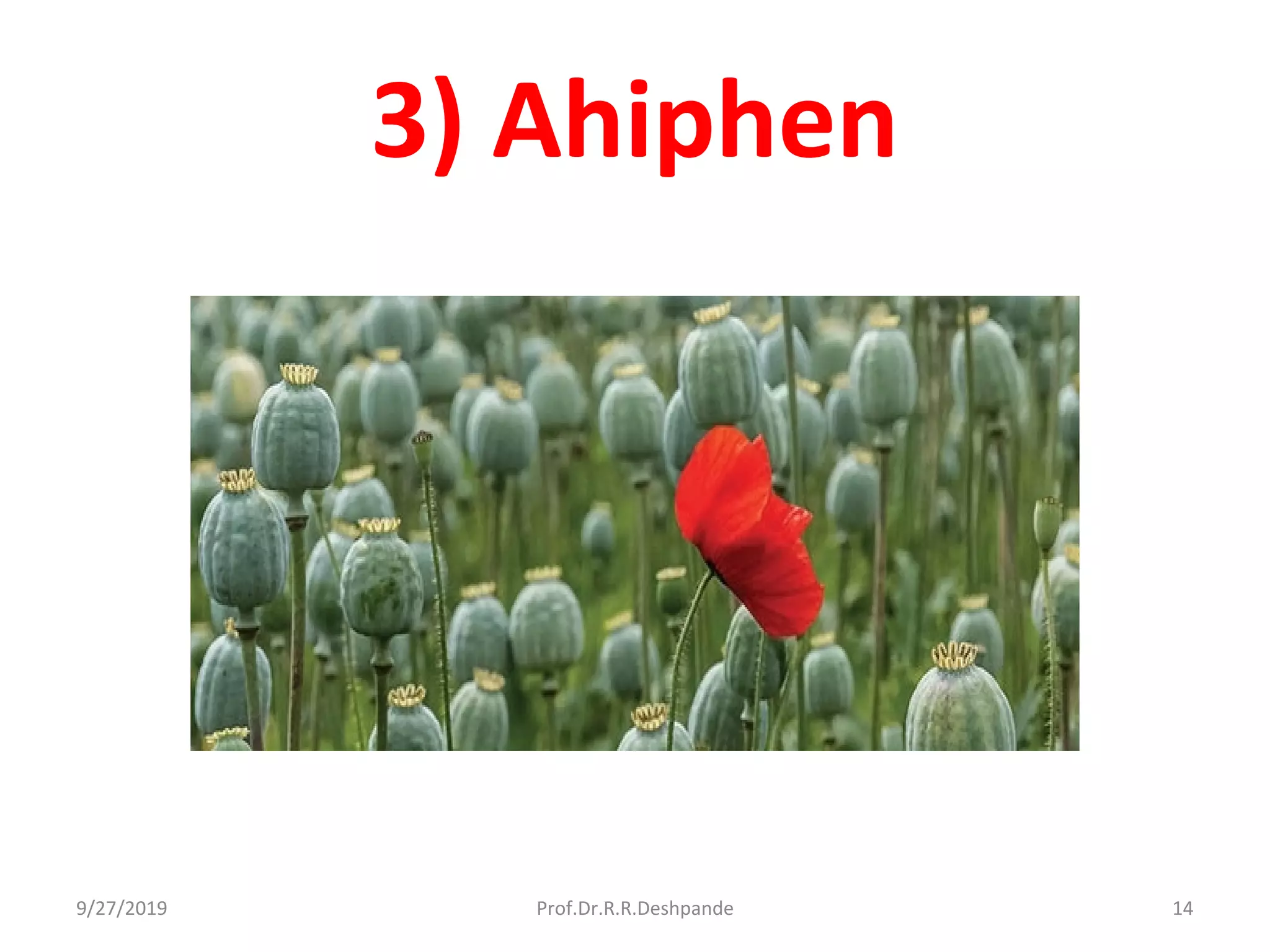 Dravyaguna vignyan ppt | PDF