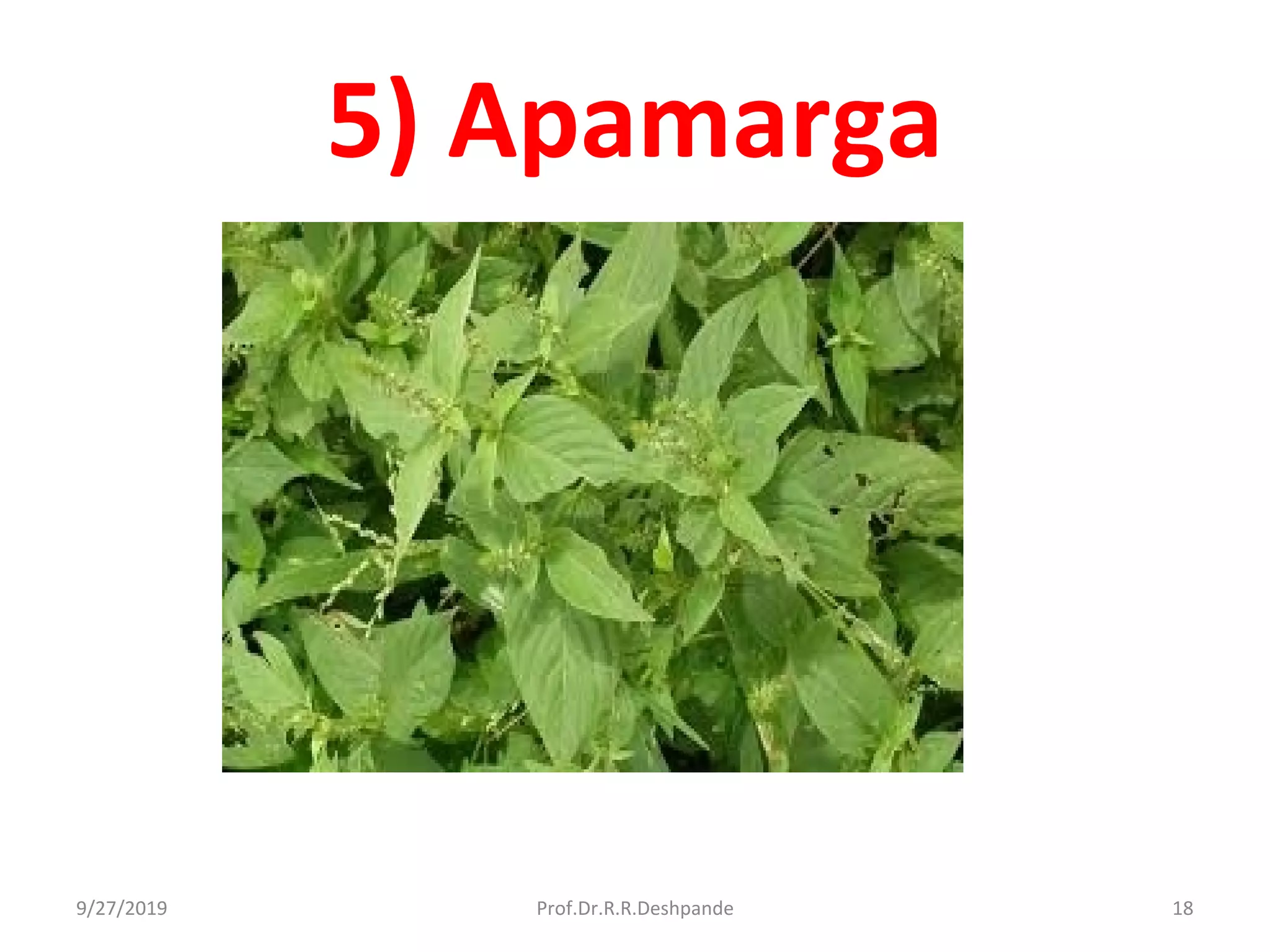 Dravyaguna vignyan ppt | PDF