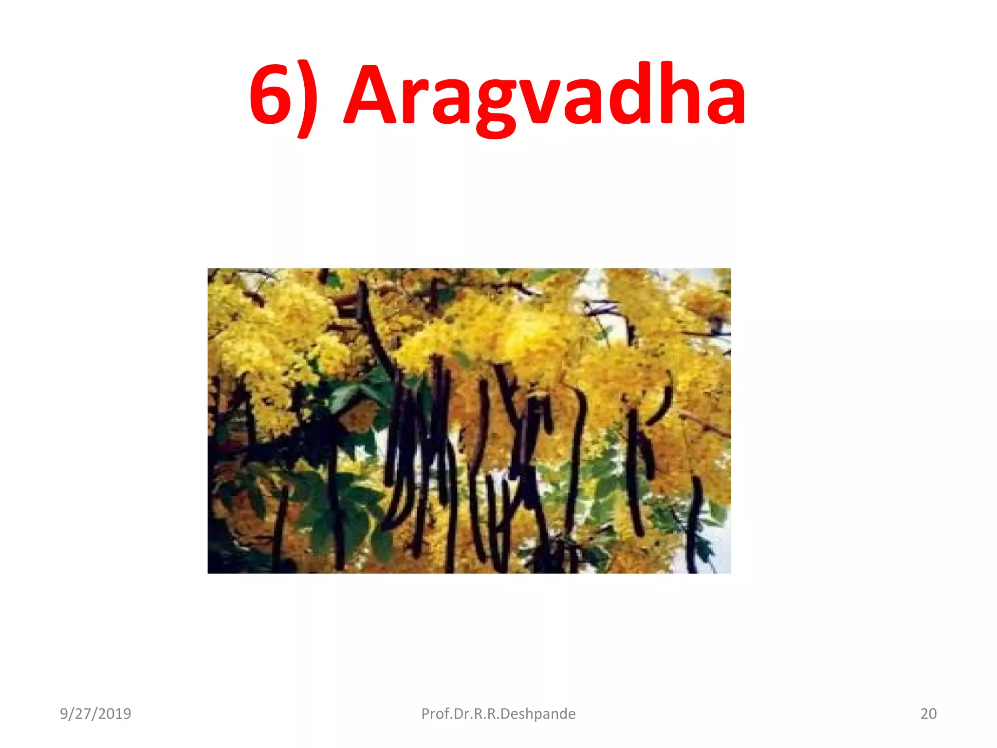 Dravyaguna vignyan ppt | PDF