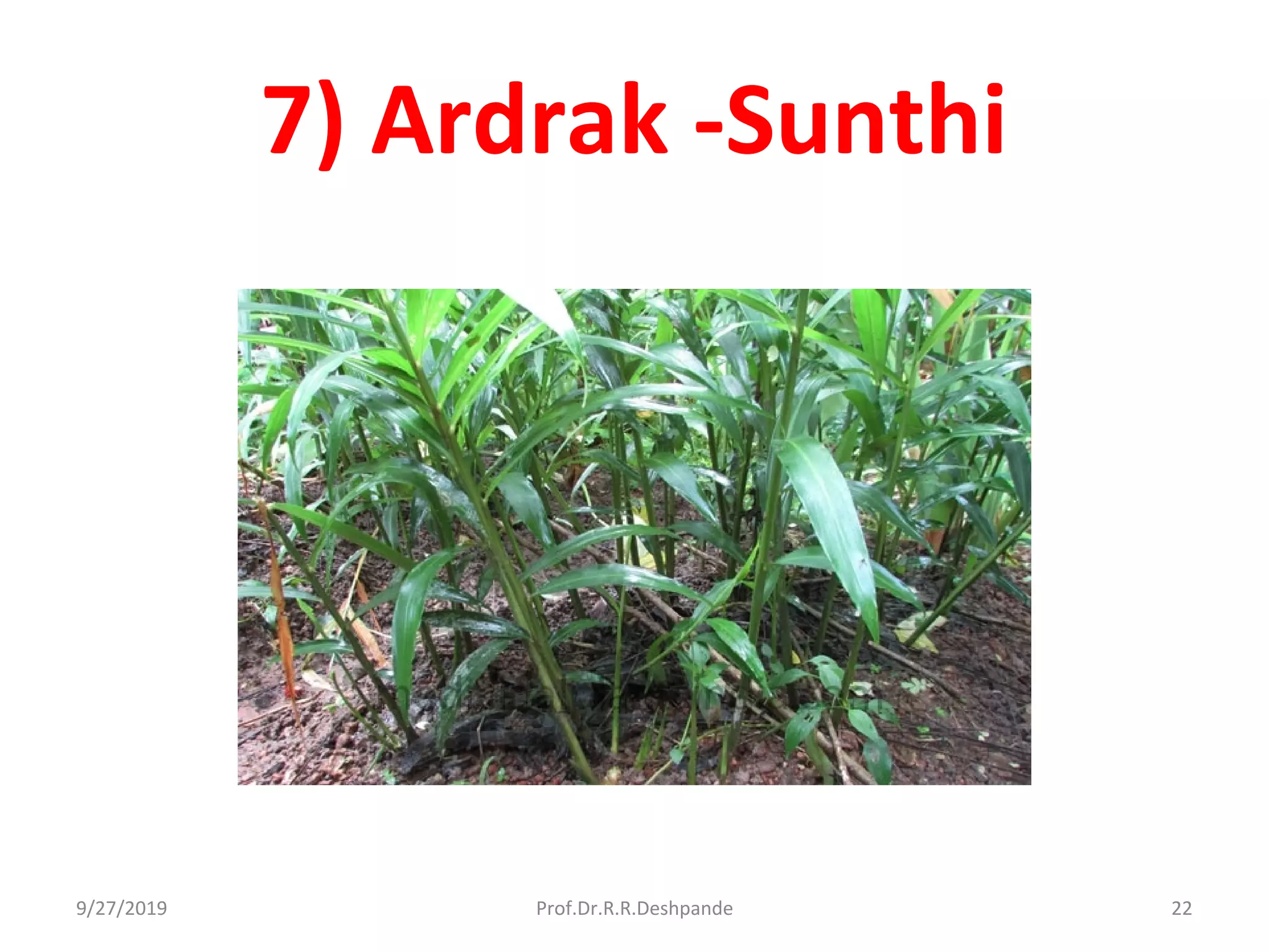 Dravyaguna vignyan ppt | PDF