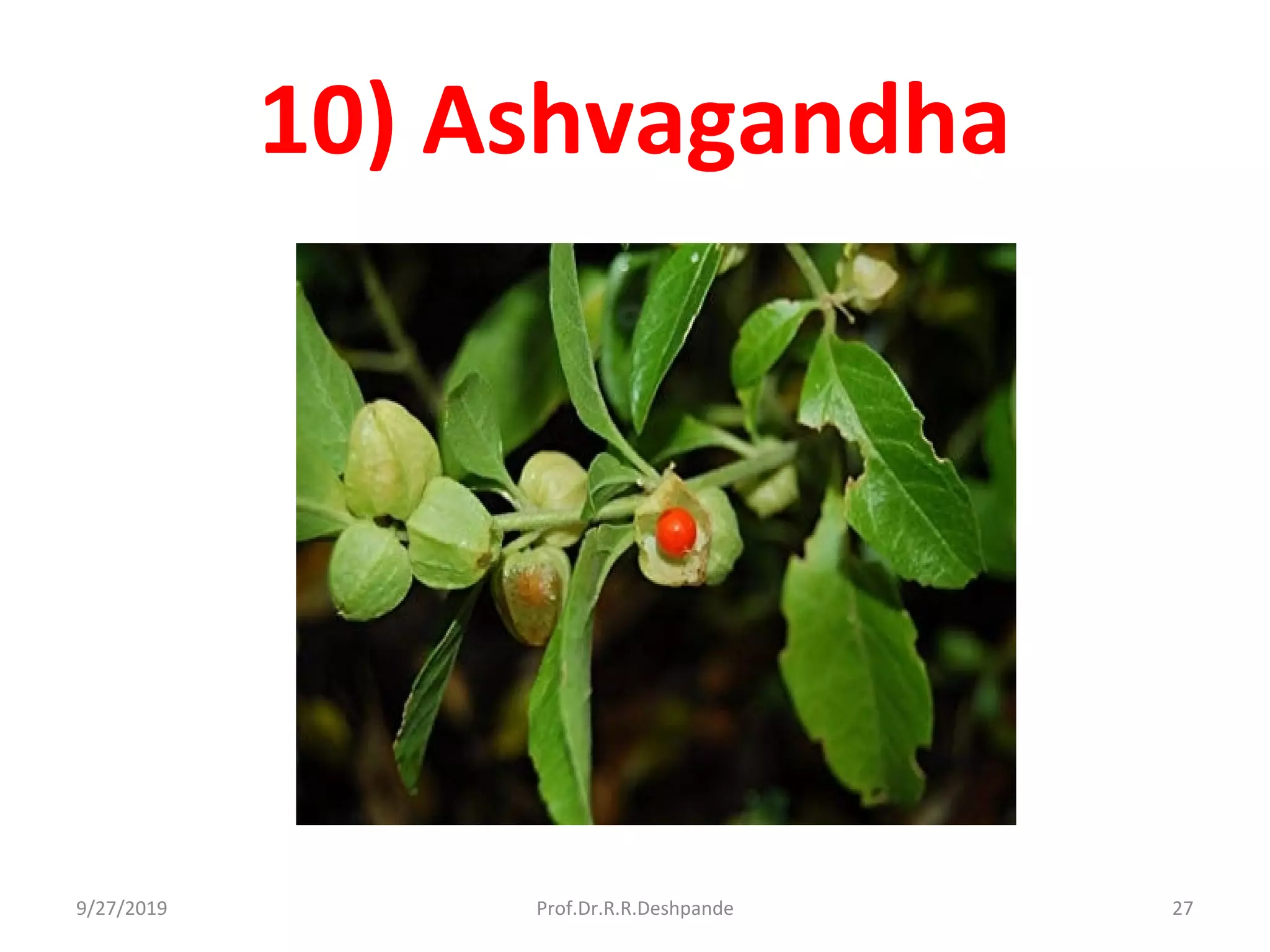 Dravyaguna vignyan ppt | PDF