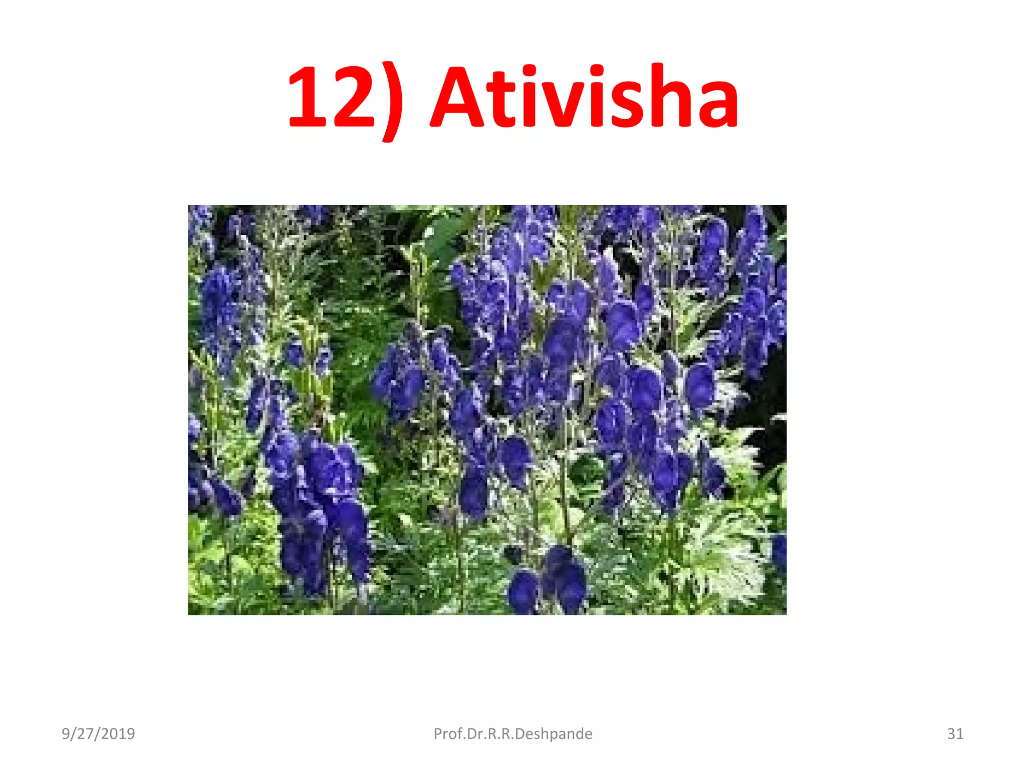 Dravyaguna vignyan ppt | PDF
