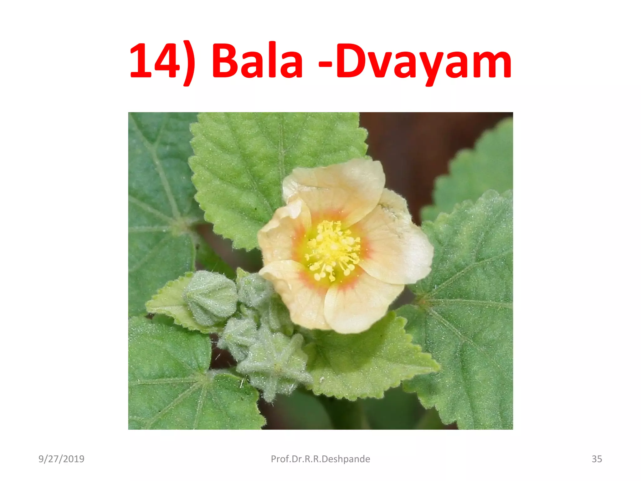 Dravyaguna vignyan ppt | PDF