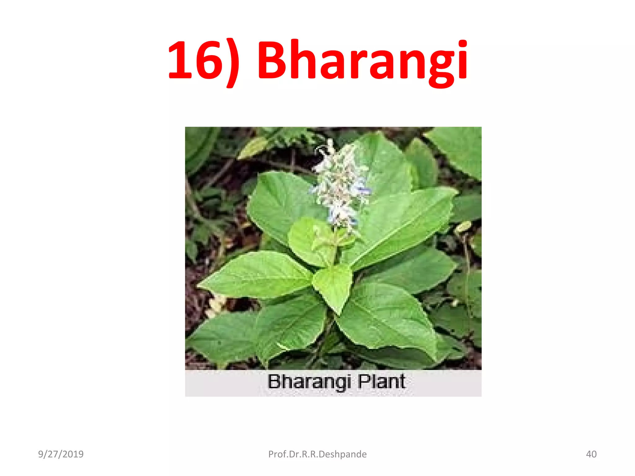 Dravyaguna vignyan ppt | PDF