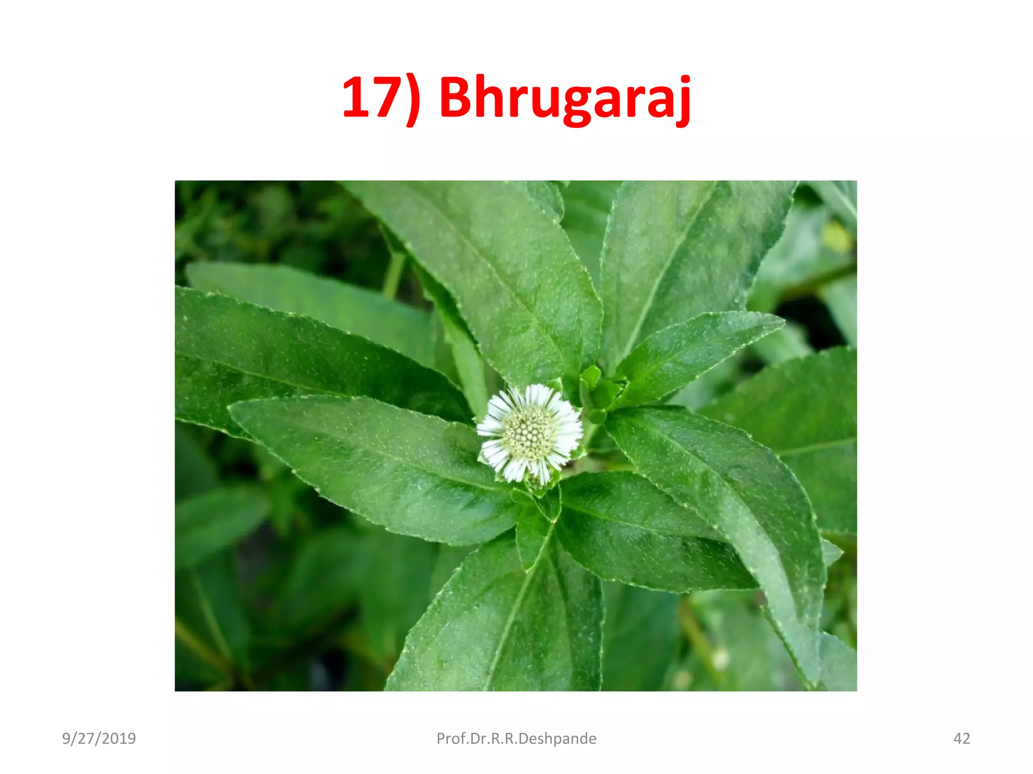 Dravyaguna vignyan ppt | PDF