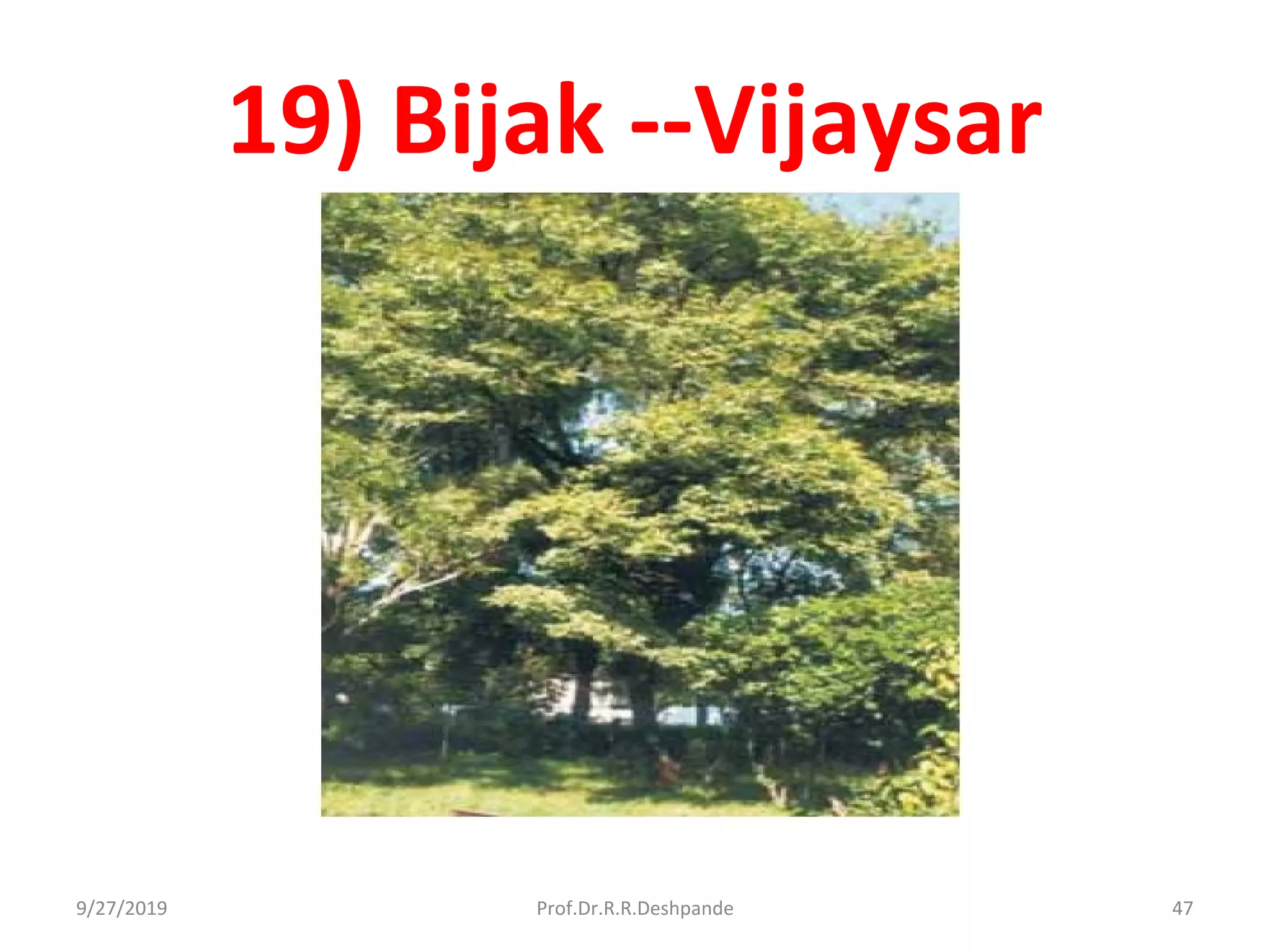 Dravyaguna vignyan ppt | PDF