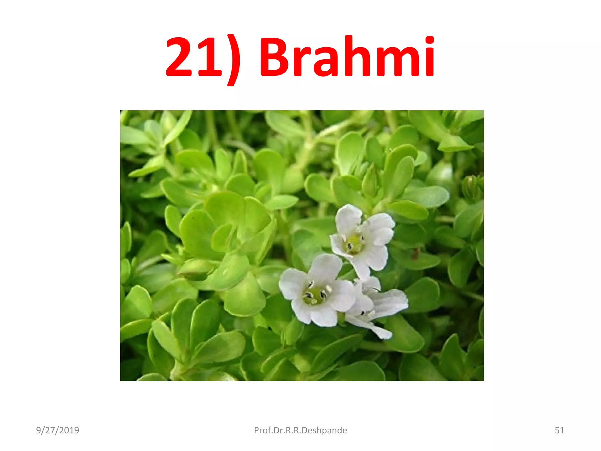 Dravyaguna vignyan ppt | PDF