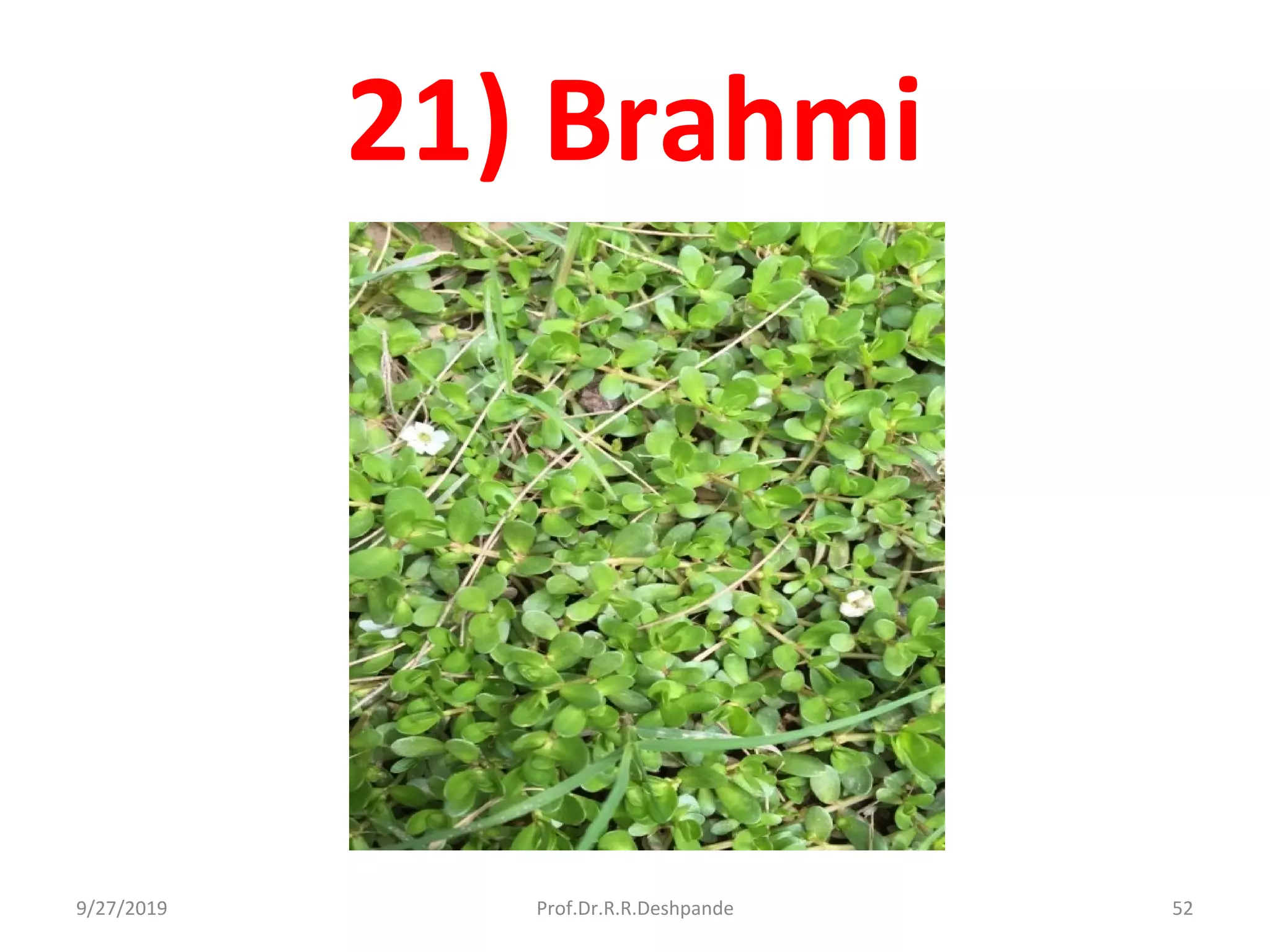 Dravyaguna vignyan ppt | PDF