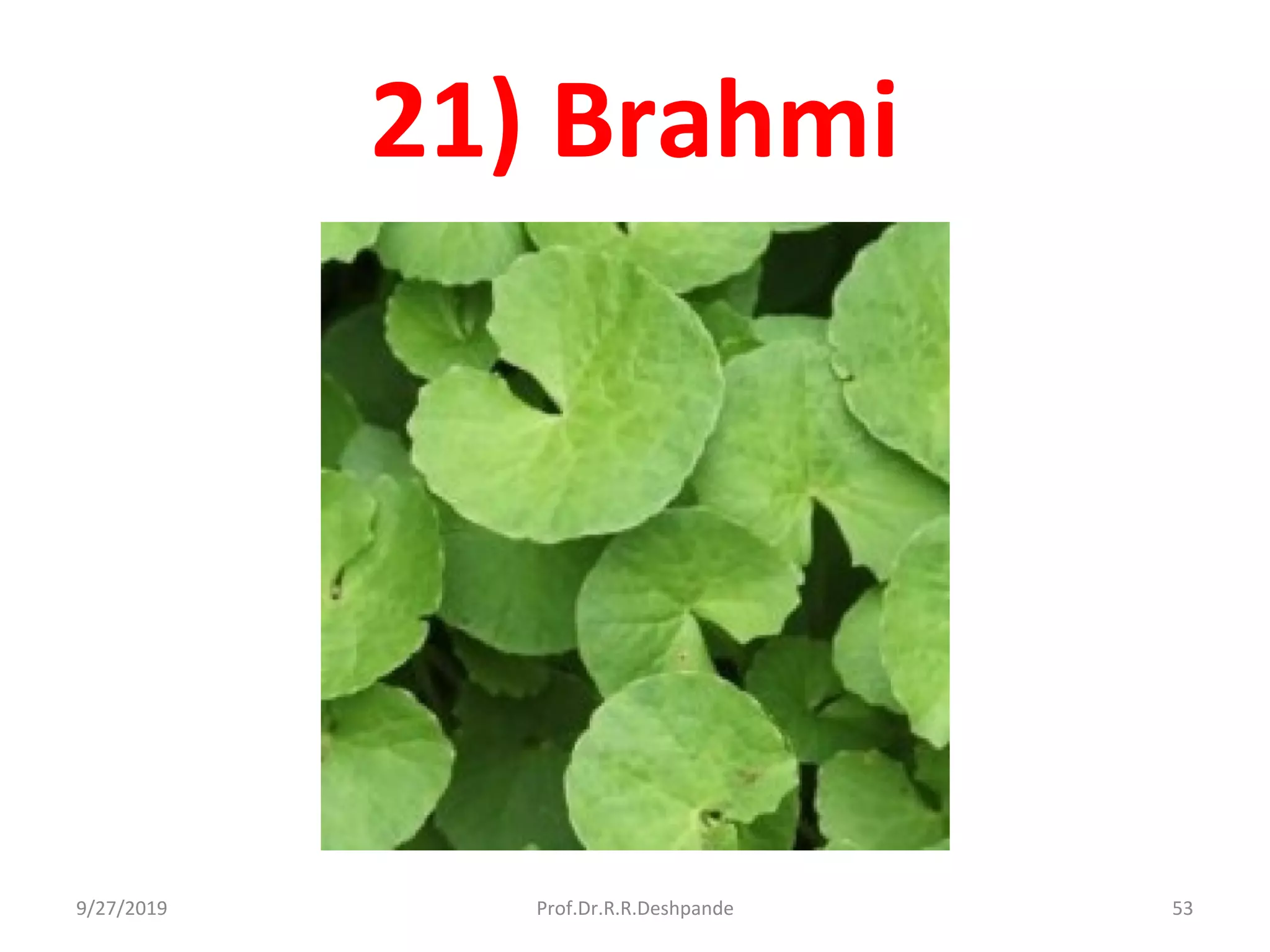 Dravyaguna vignyan ppt | PDF