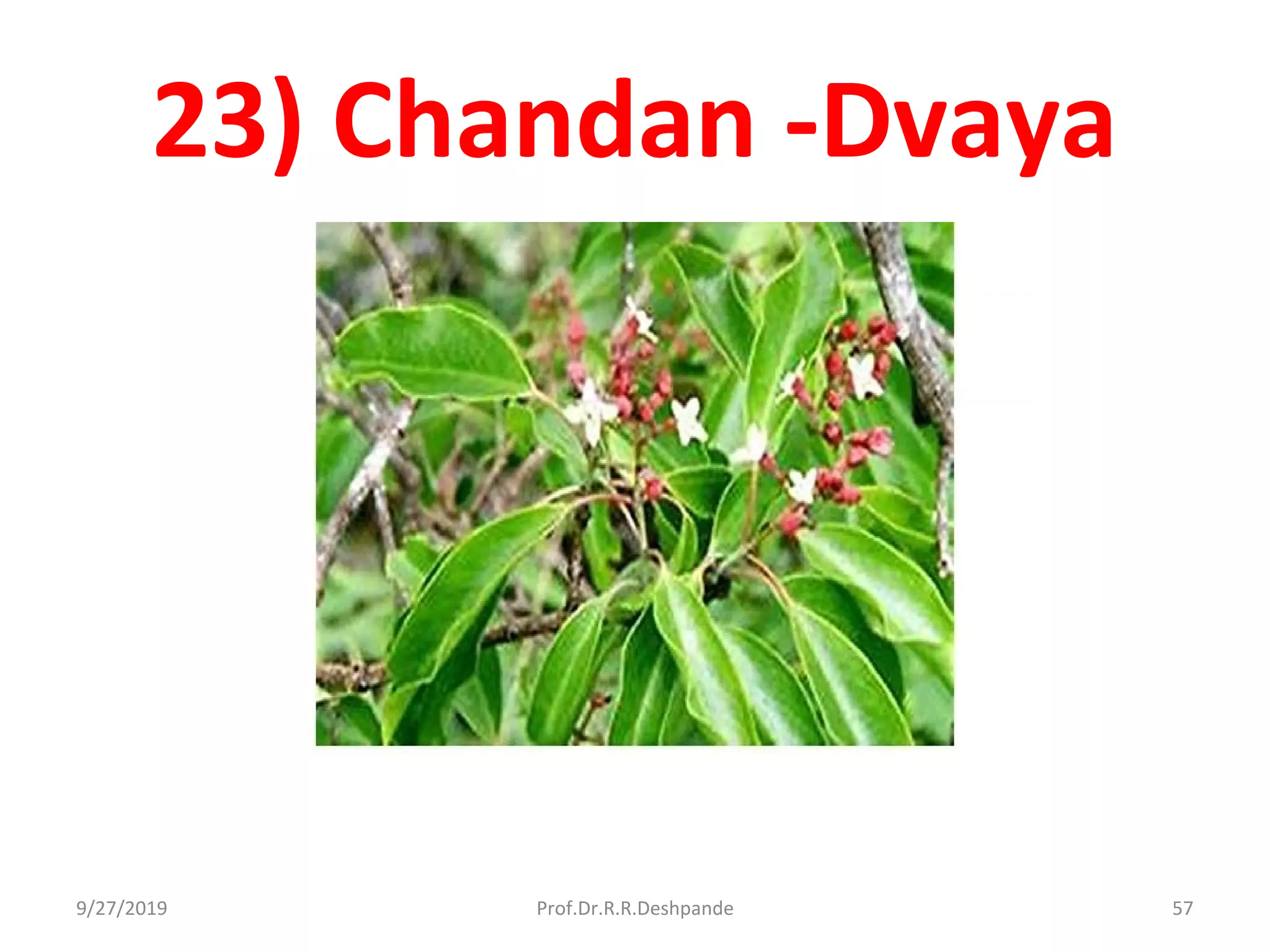 Dravyaguna vignyan ppt | PDF