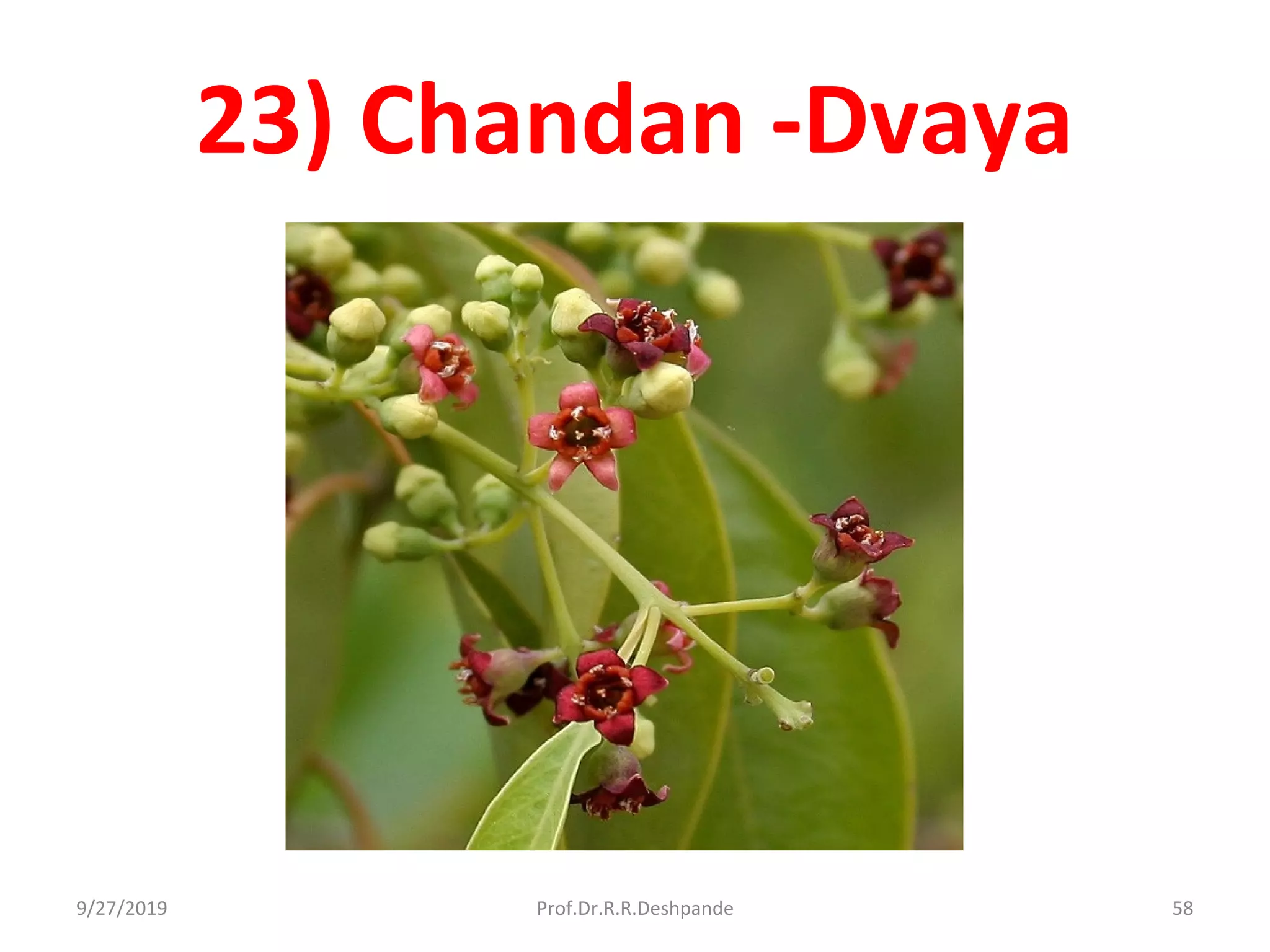 Dravyaguna vignyan ppt | PDF